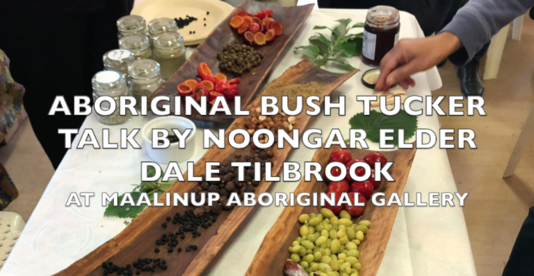 Aboriginal Bush Tucker Talk by Noongar Elder Dale Tilbrook – ParasUniversal
