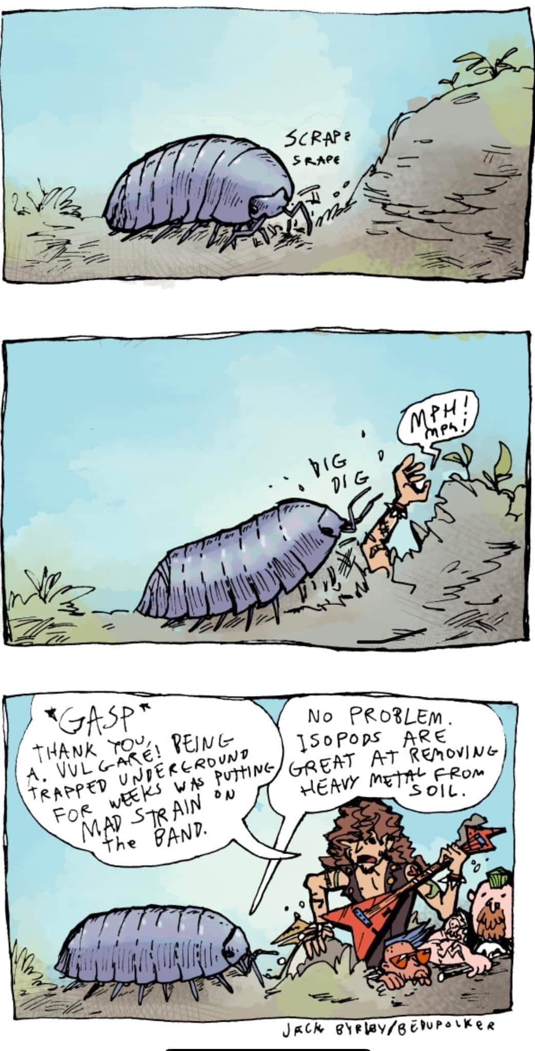 Interesting Facts About Woodlice (Slaters/Pill Bugs/Rollie Pollies/Roly ...